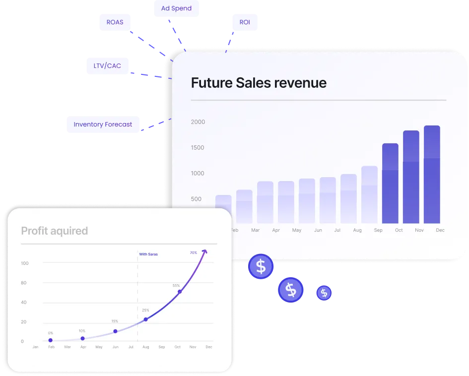 Saras | Omnichannel Data Intelligence Platform